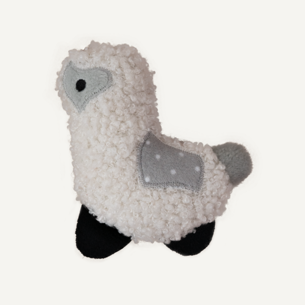 Wilbur the Llama - Dan & Sam